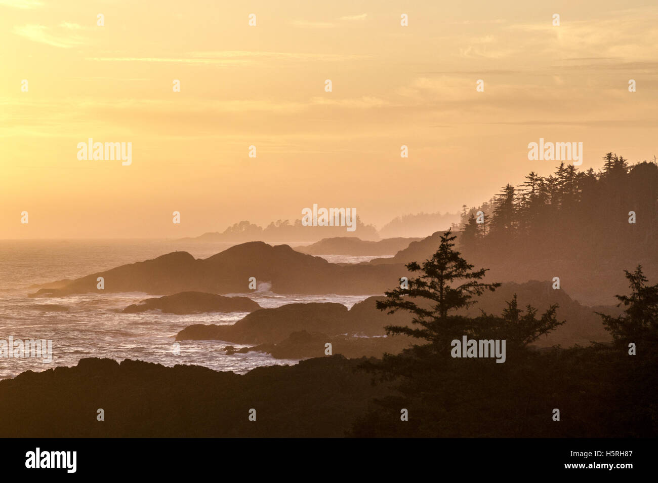 Pacific rim national park hi-res stock photography and images - Alamy