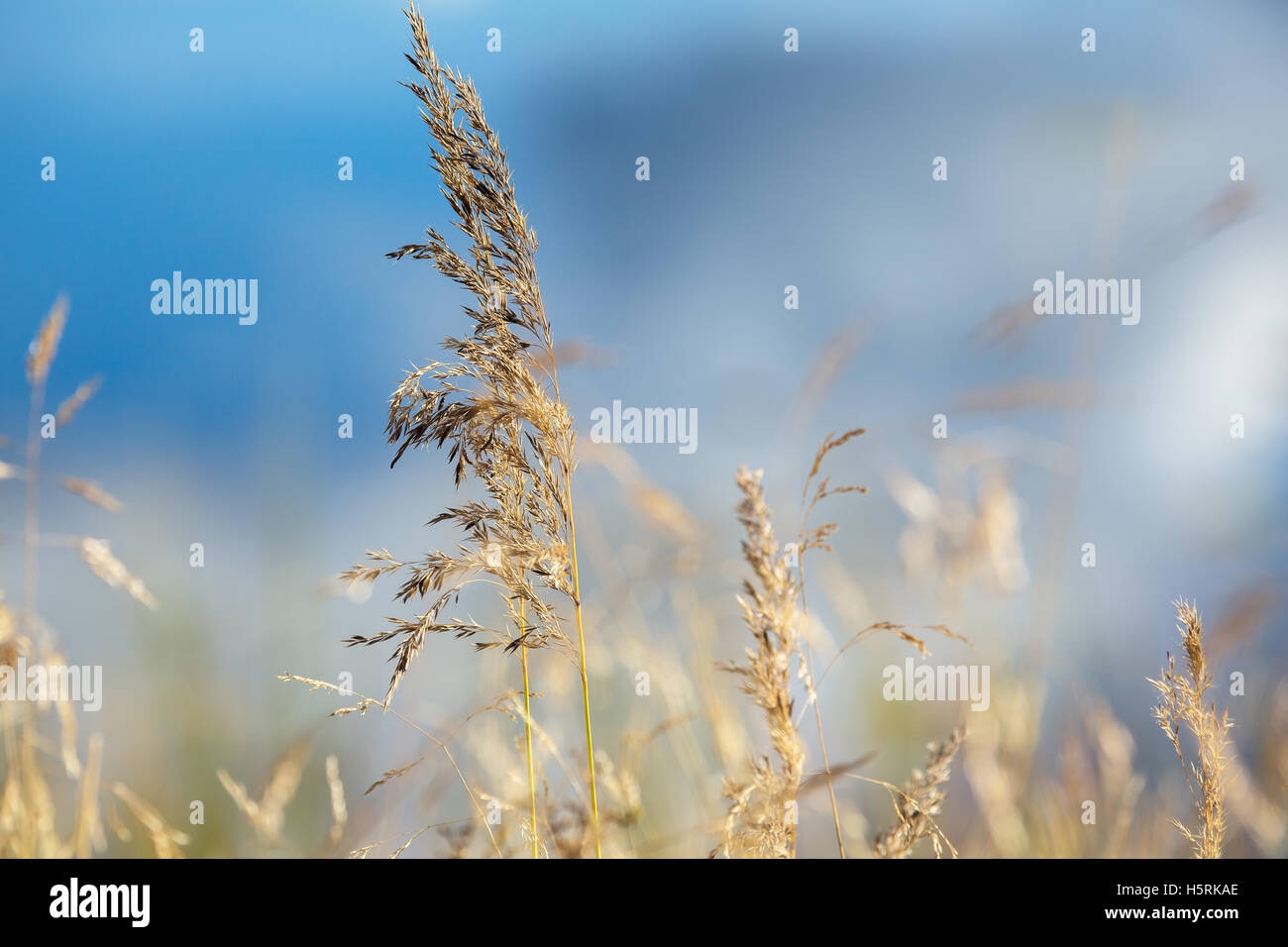 Black shady background hi-res stock photography and images - Alamy