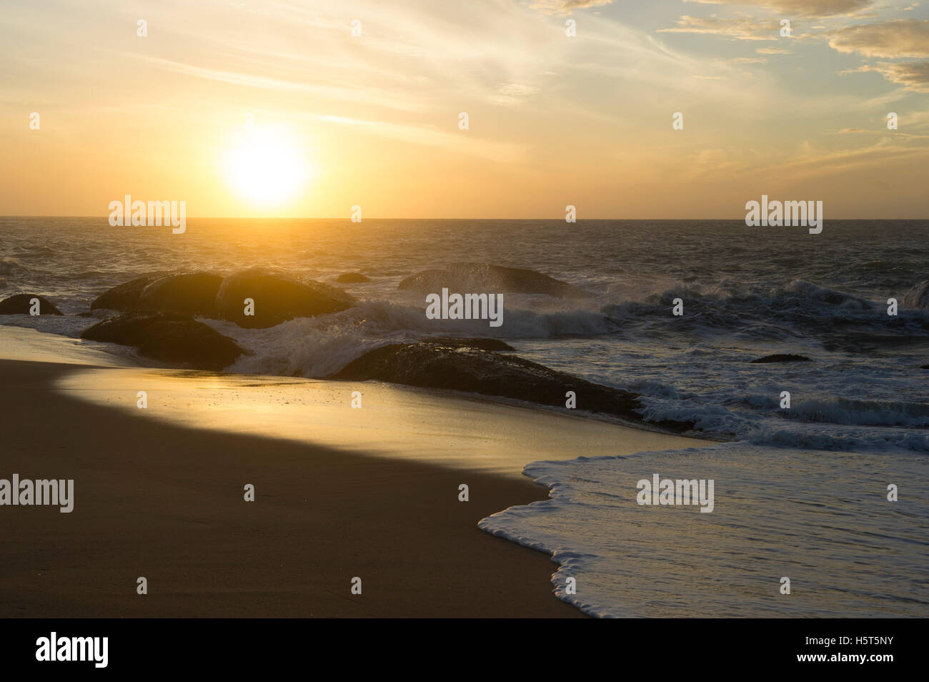 Yala national park beach hi-res stock photography and images - Alamy