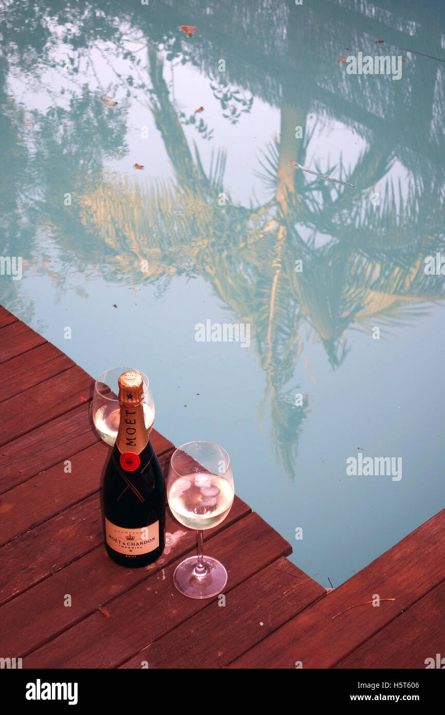 Champagne and glasses beside pool with reflection of tropical palm tree ...