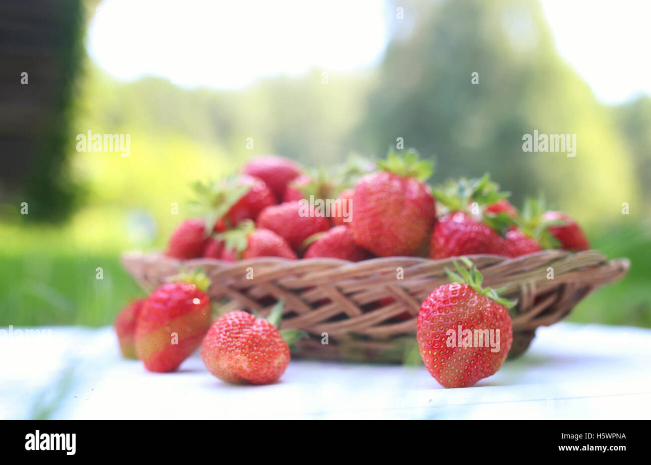 fresh strawberry outdoor Stock Photo - Alamy