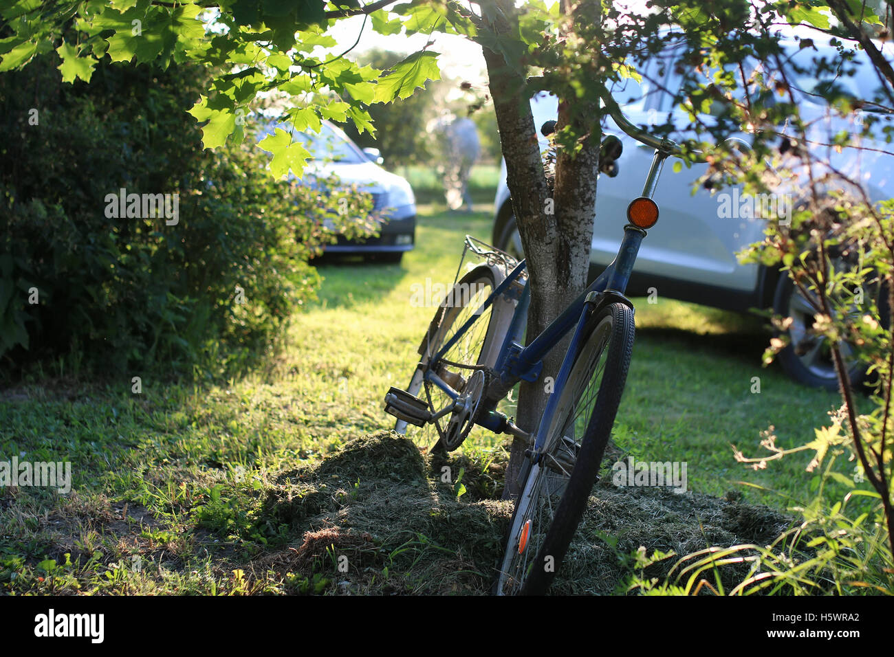bicycle on a rural nature Stock Photo - Alamy
