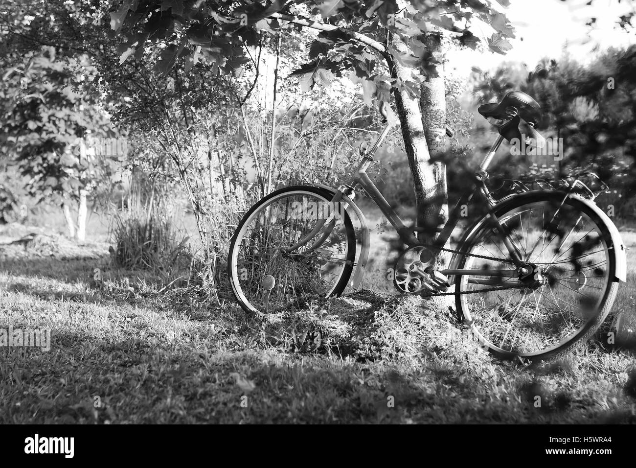 monochrome photo bicycle on a rural nature Stock Photo - Alamy