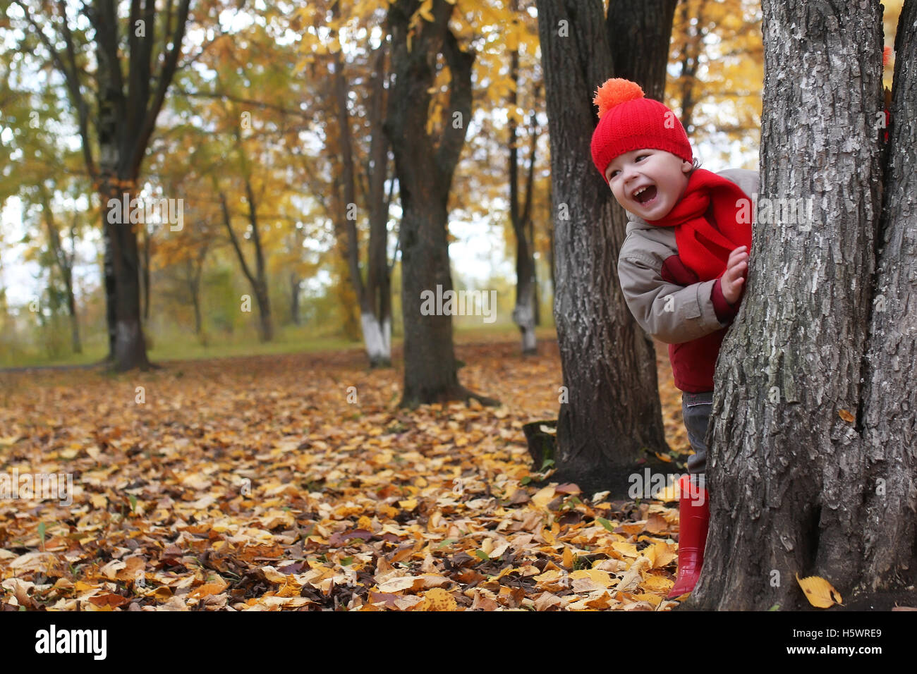 kid in autumn park hidden behind tree Stock Photo - Alamy