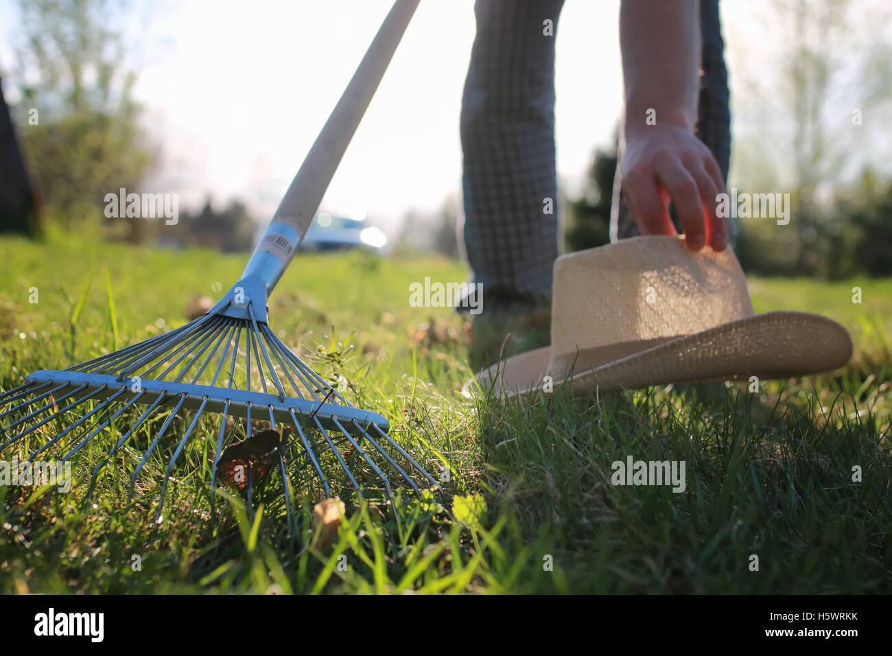 rakes to collect old grass Stock Photo - Alamy