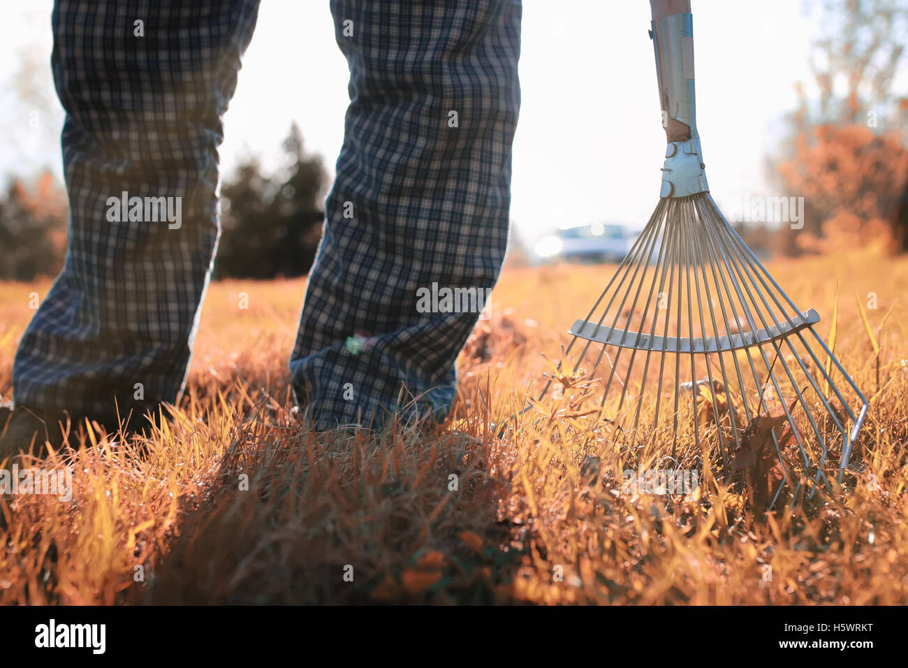 man with rakes in autumn old grass Stock Photo - Alamy