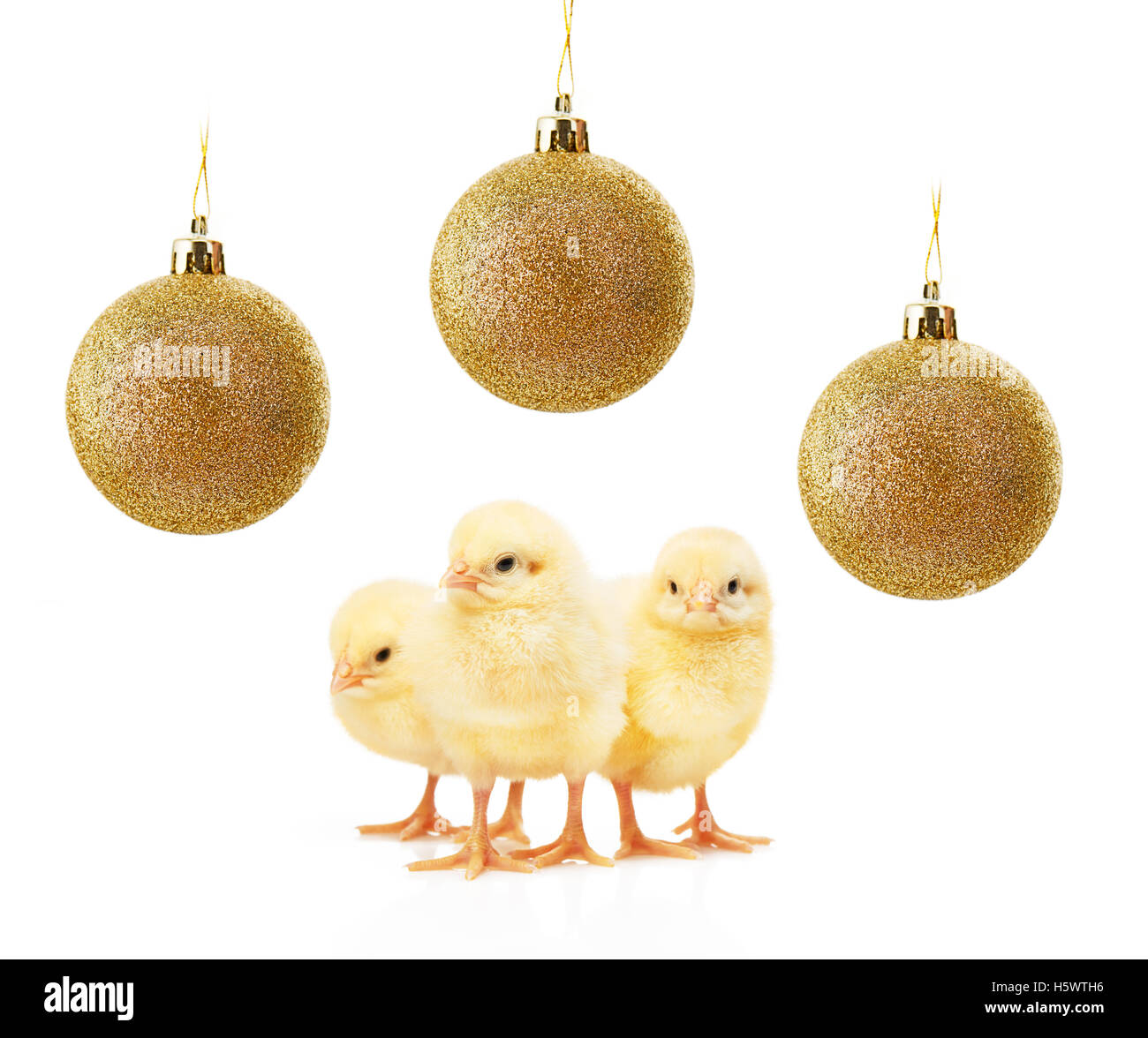 Three small yellow chickens and three sparkly christmas balls covered ...
