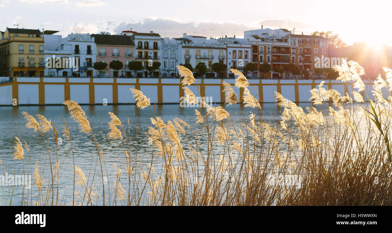 Triana seville spain hi-res stock photography and images - Alamy