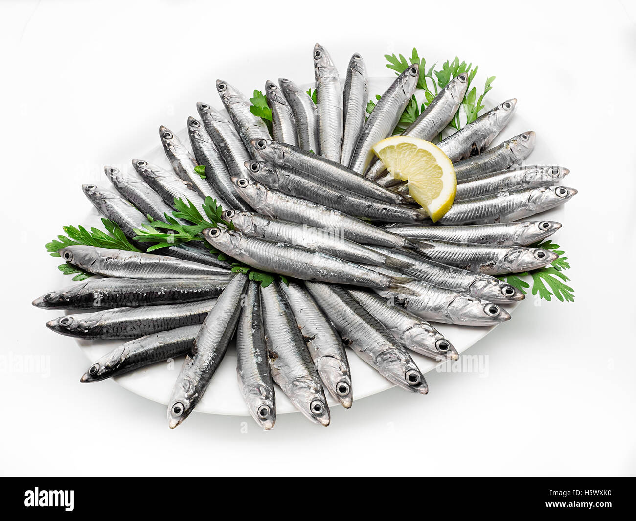 Anchovy flavor Cut Out Stock Images & Pictures - Alamy