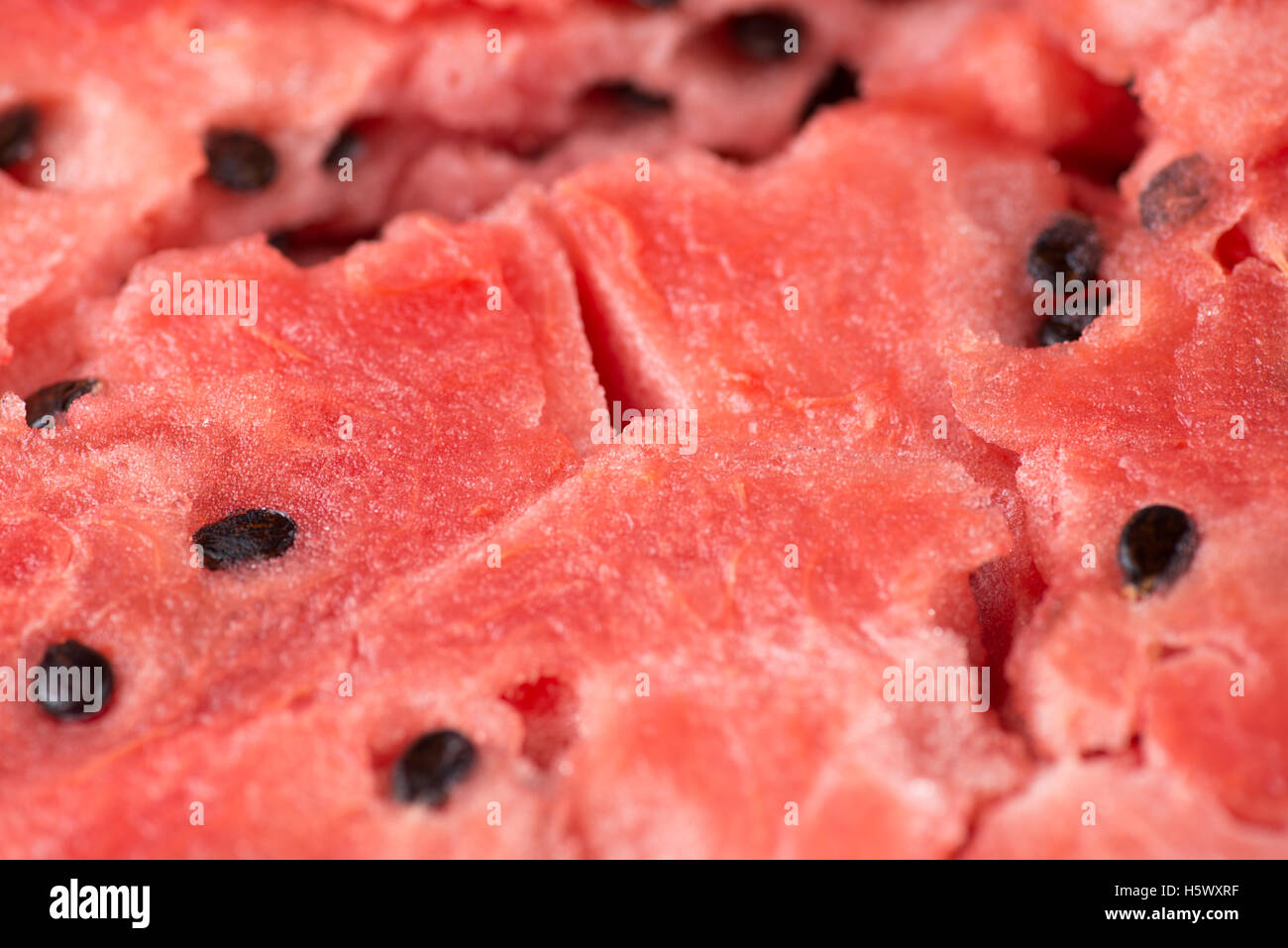 Watermelon Inside Texture