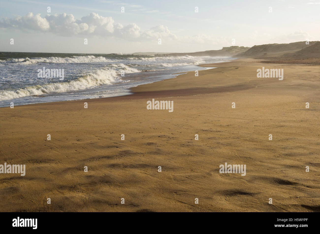Yala national park beach hi-res stock photography and images - Alamy