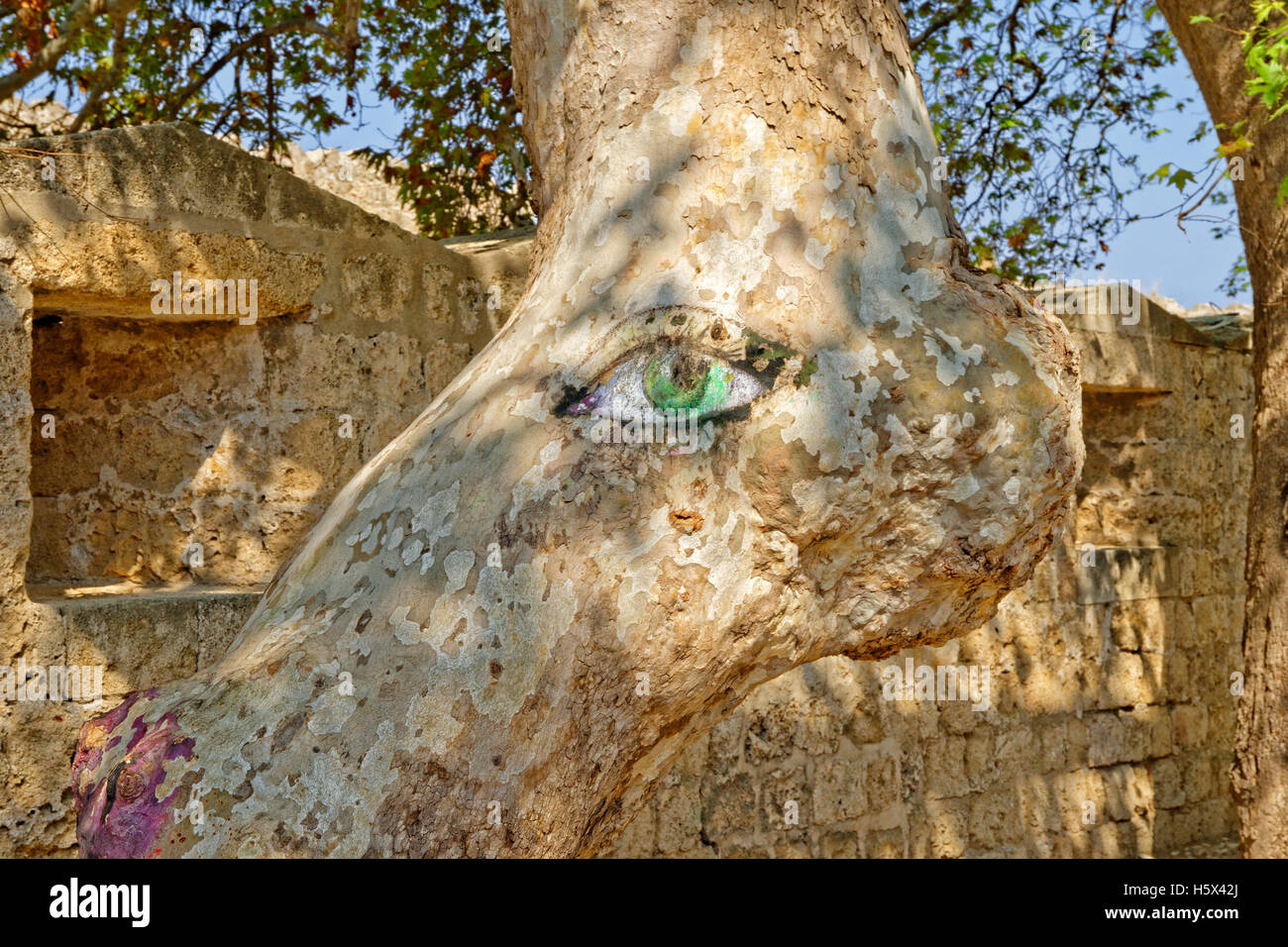Decorated tree on the inner ramparts of Rhodes fortified old town ...