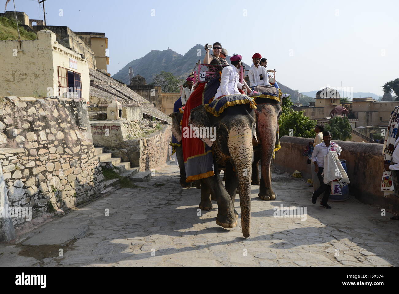 An elephant and its rider in jaipur hi-res stock photography and images ...