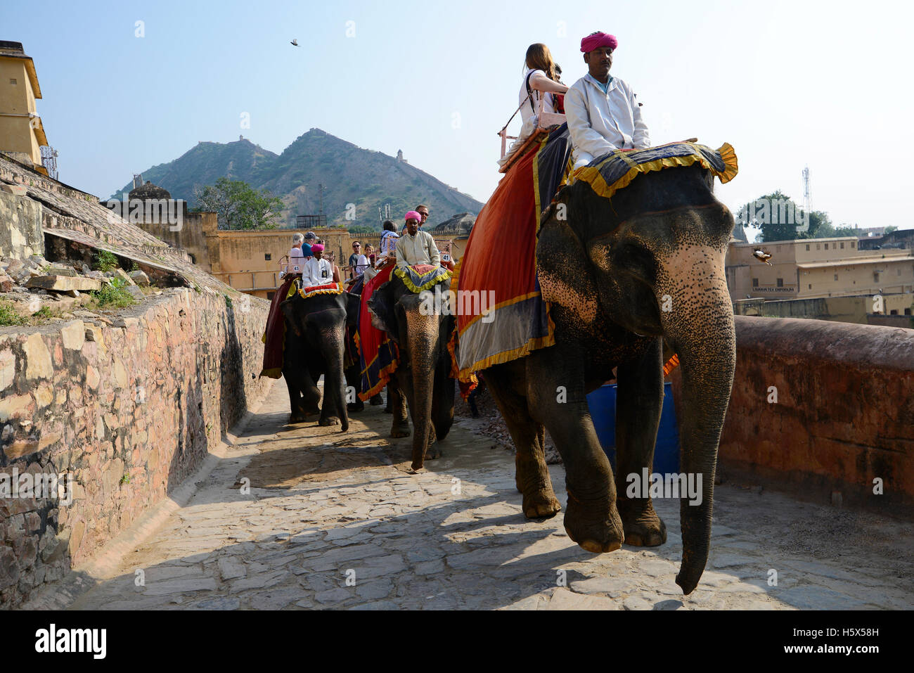 Decorated Elephant with their rider carrying passenger at Amer fort in ...