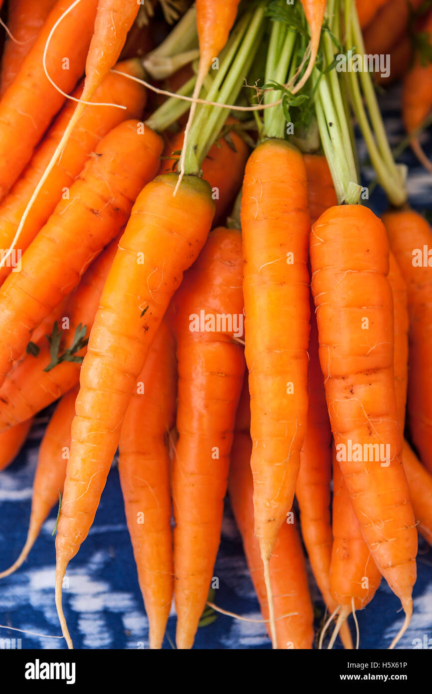 A close up display of fresh carrots on display Stock Photo - Alamy