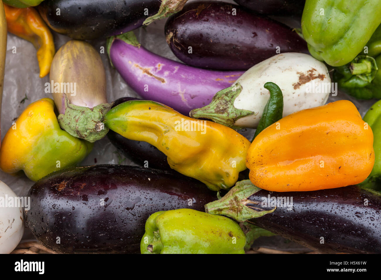 An assortment of peppers and eggplants on display Stock Photo - Alamy