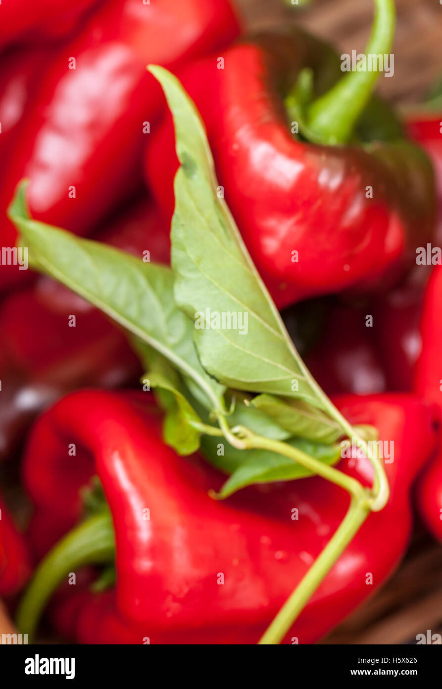 Bell peppers on display hi-res stock photography and images - Alamy