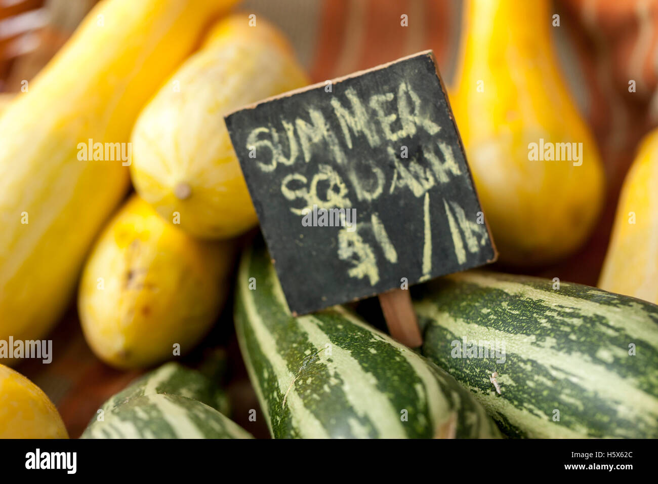 A sign shows summer squash on display at a market Stock Photo - Alamy