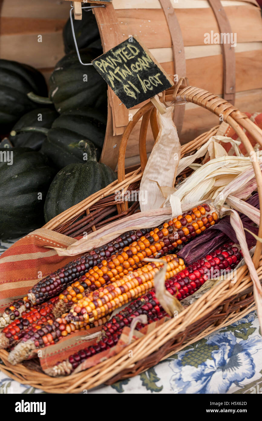 Indian corn basket hi-res stock photography and images - Alamy
