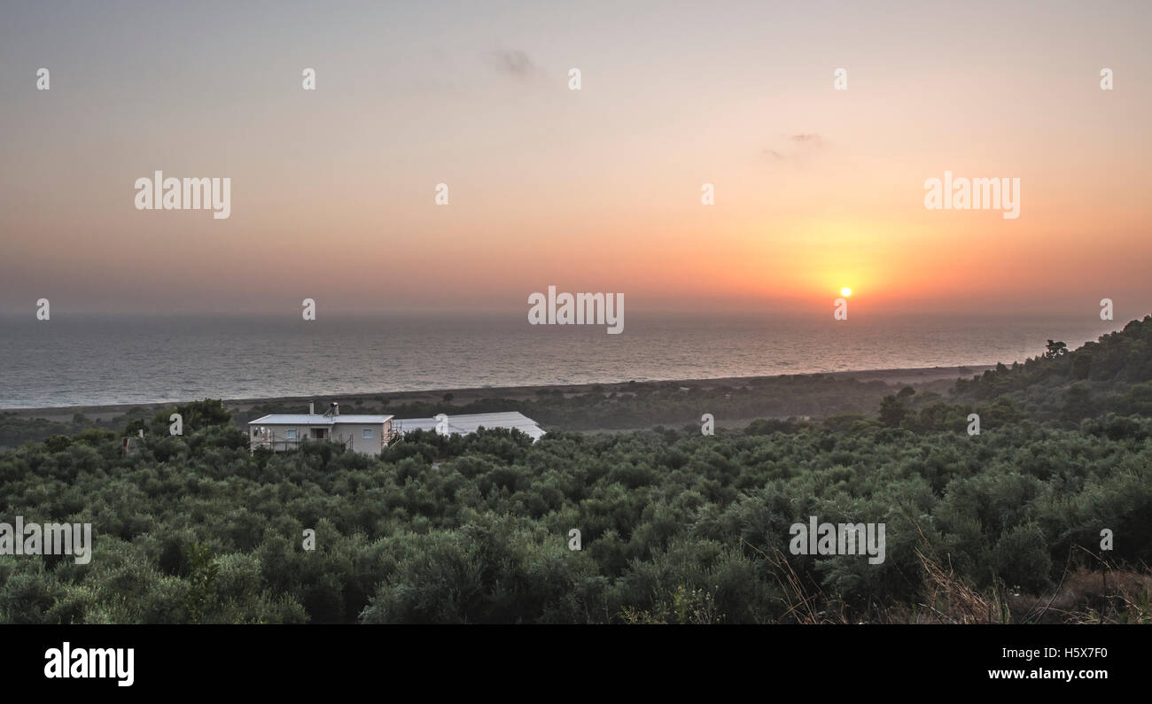 Olive trees, sea and sunset. Kalamata, Greece Stock Photo - Alamy