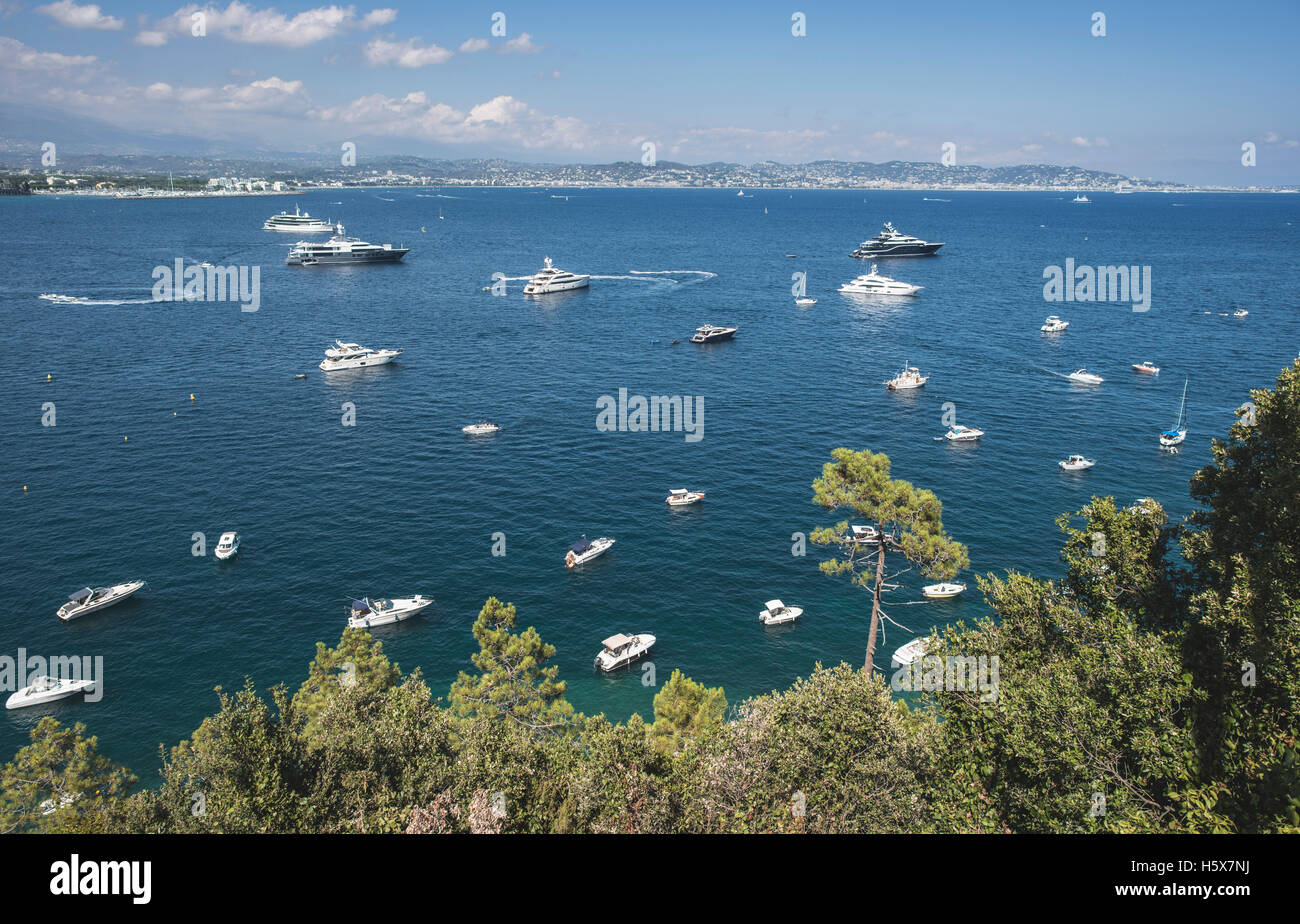 Yachts on the french riviera. View through the branches Stock Photo - Alamy
