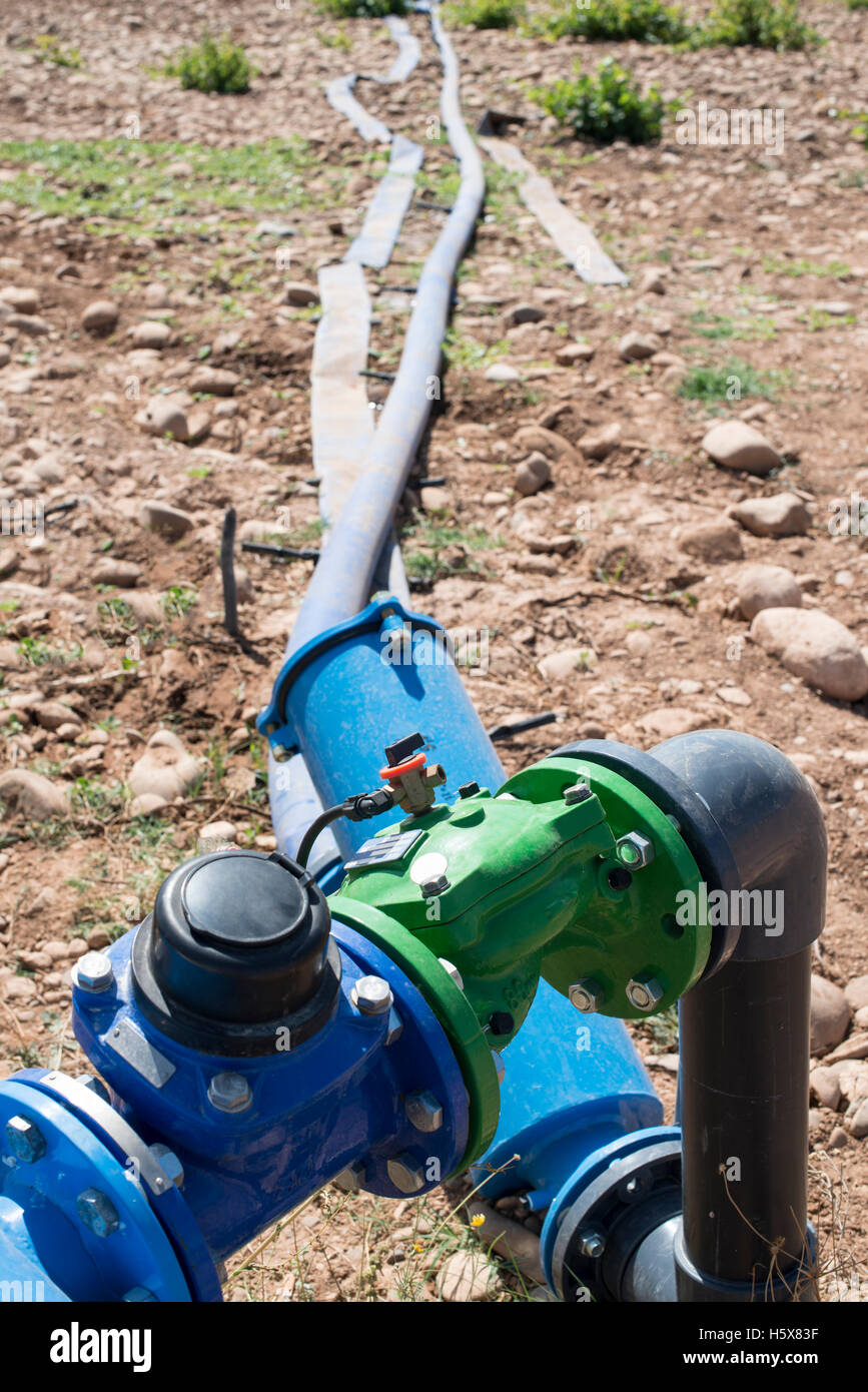 Agriculture watering tubes on the field Stock Photo - Alamy