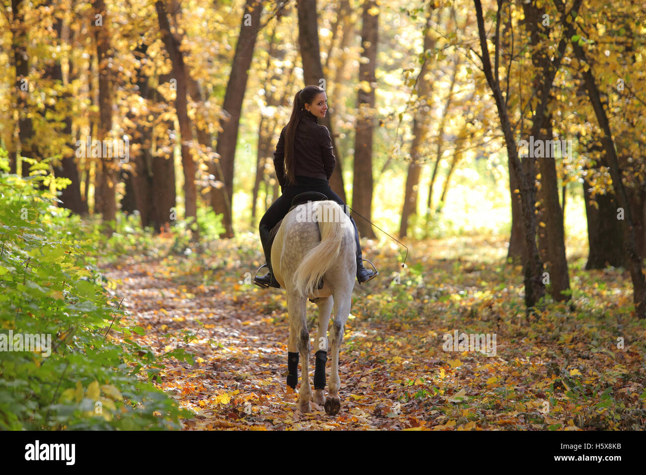 Beautiful brunette woman riding horse hi-res stock photography and ...