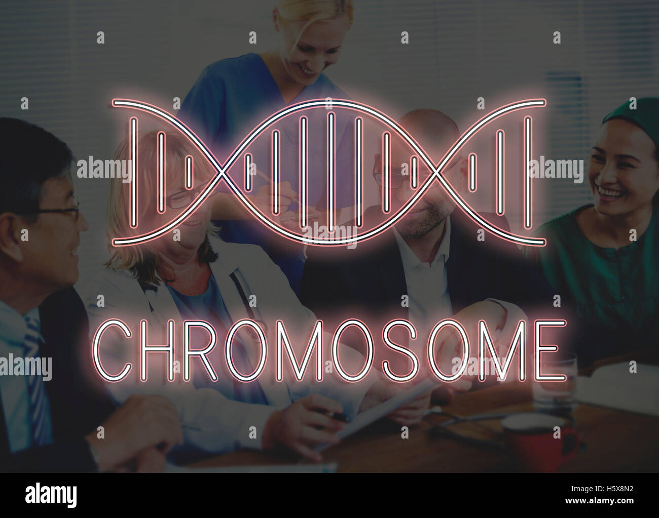 Chromosome biology genetics hi-res stock photography and images - Alamy