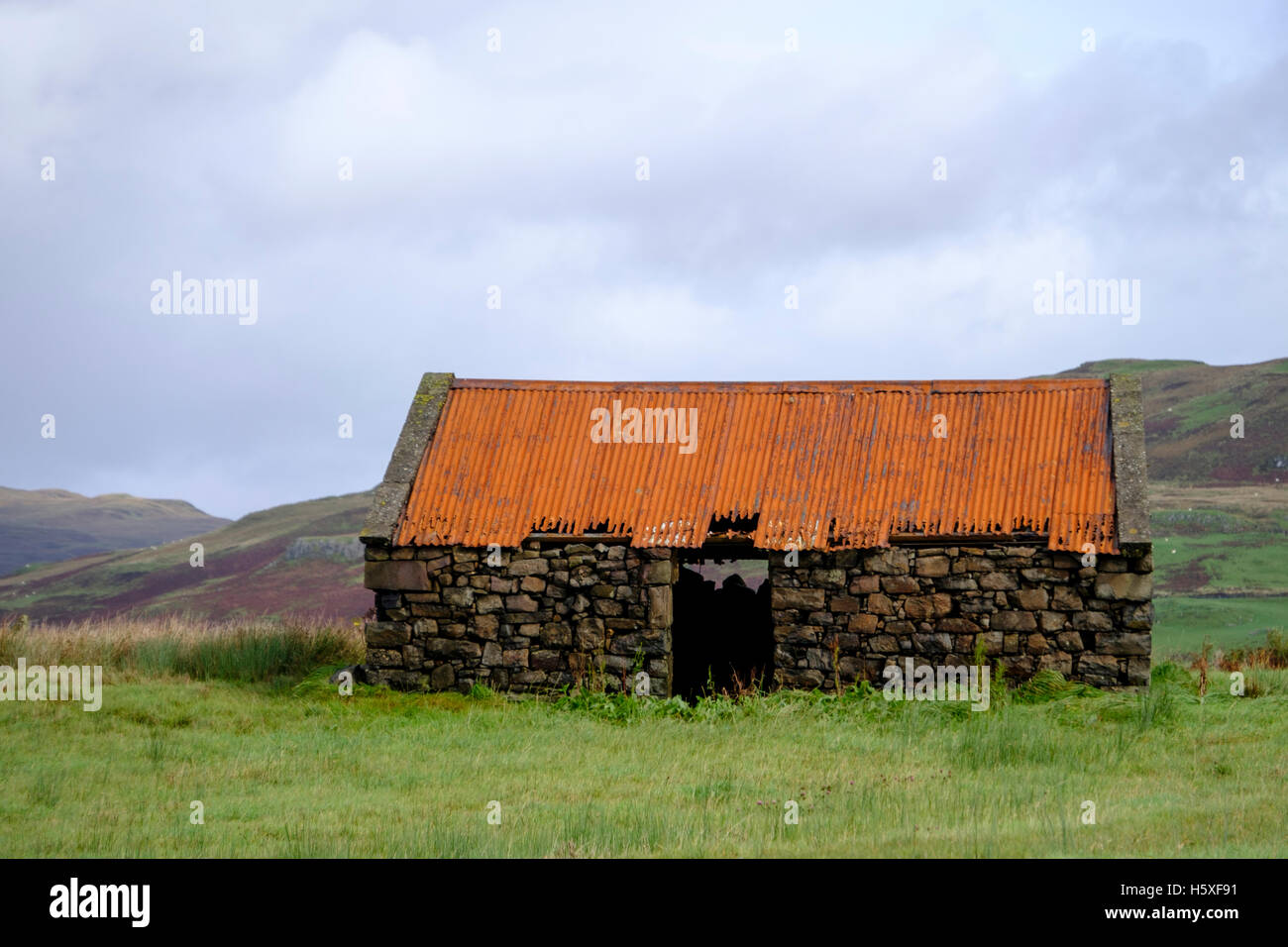 Derelict old stone built farm outhouse with red corrugated roof exposed ...