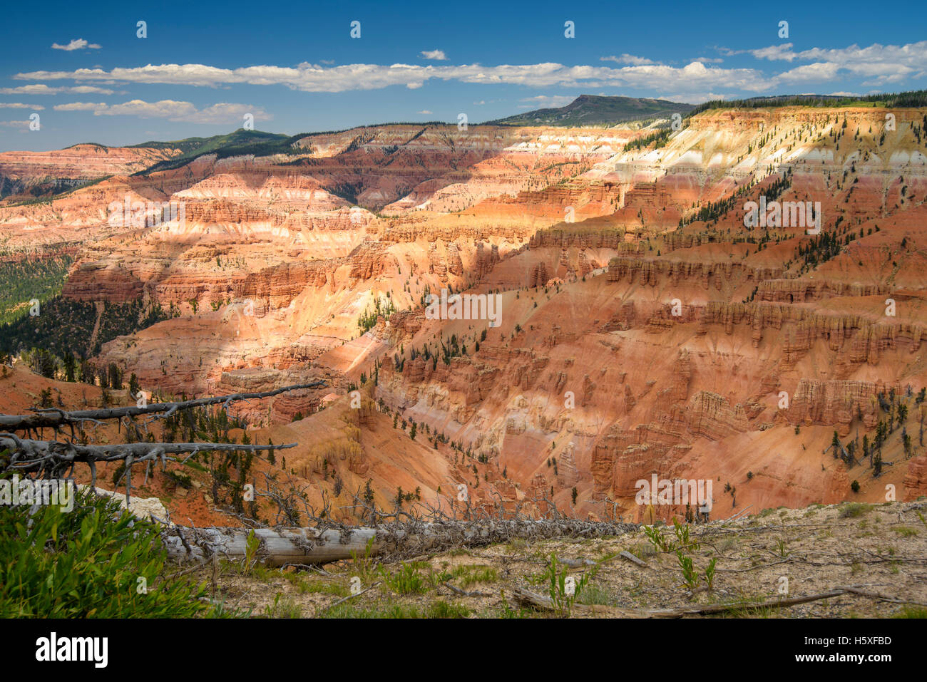 Cedar Breaks National Monument, Utah, sits at over 10,000 feet and ...