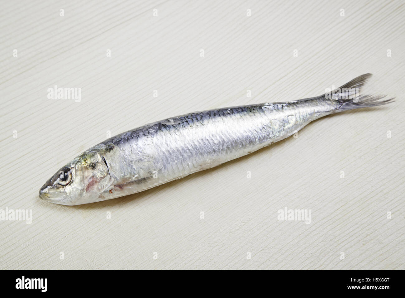 Fresh sardines, detail of raw, healthy food rich in protein, healthy ...