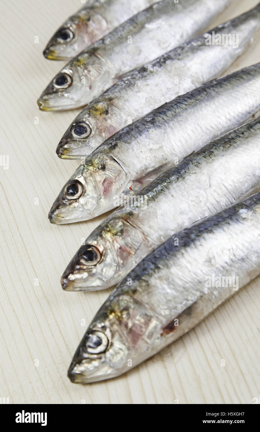 Heads raw sardines, detail of fresh raw fish, healthy food, no fat diet ...
