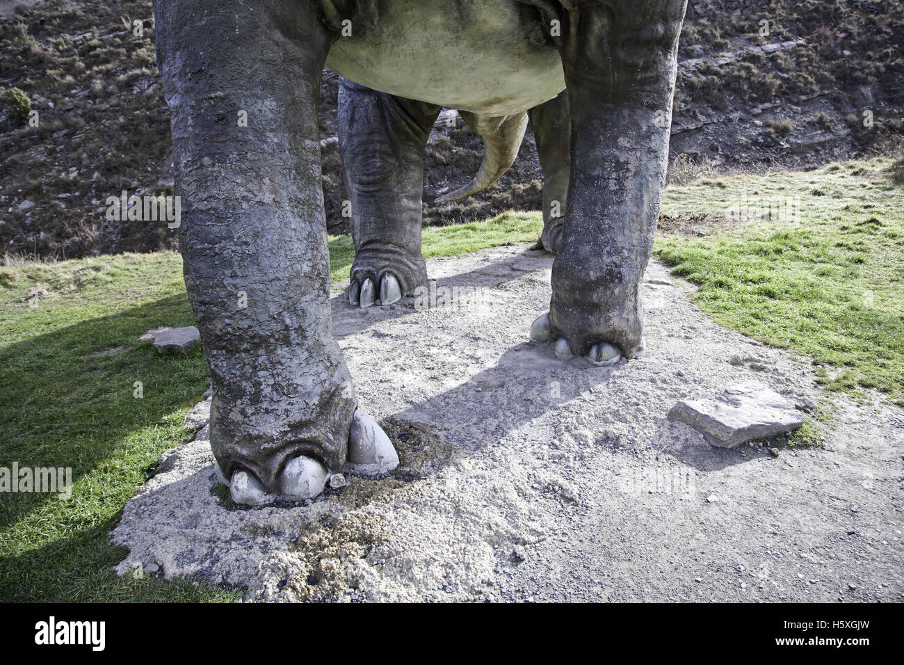 Tyrannosaur legs, limbs detail prehistoric animal, animal of ancient ...