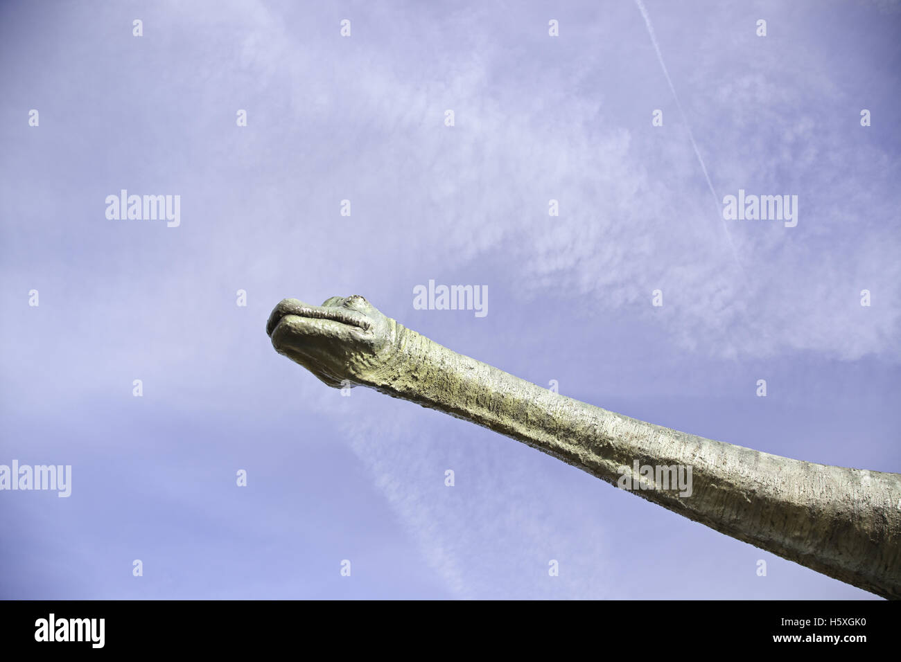 Dinosaur head, detail of prehistoric animal, extinct animal Stock Photo ...