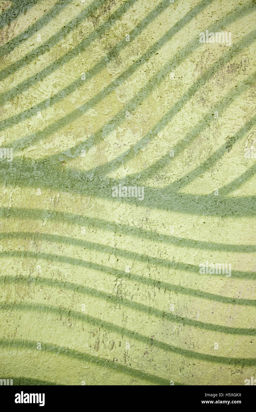 Green wall with curved facade detail of a city painted in green ...