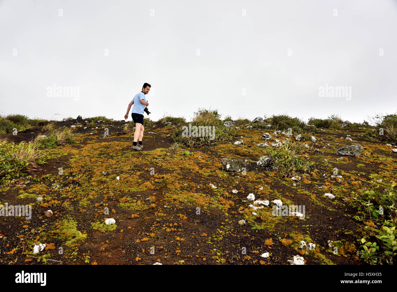The volcanic soil of Devil's Ashpit supports many mosses and lichens ...
