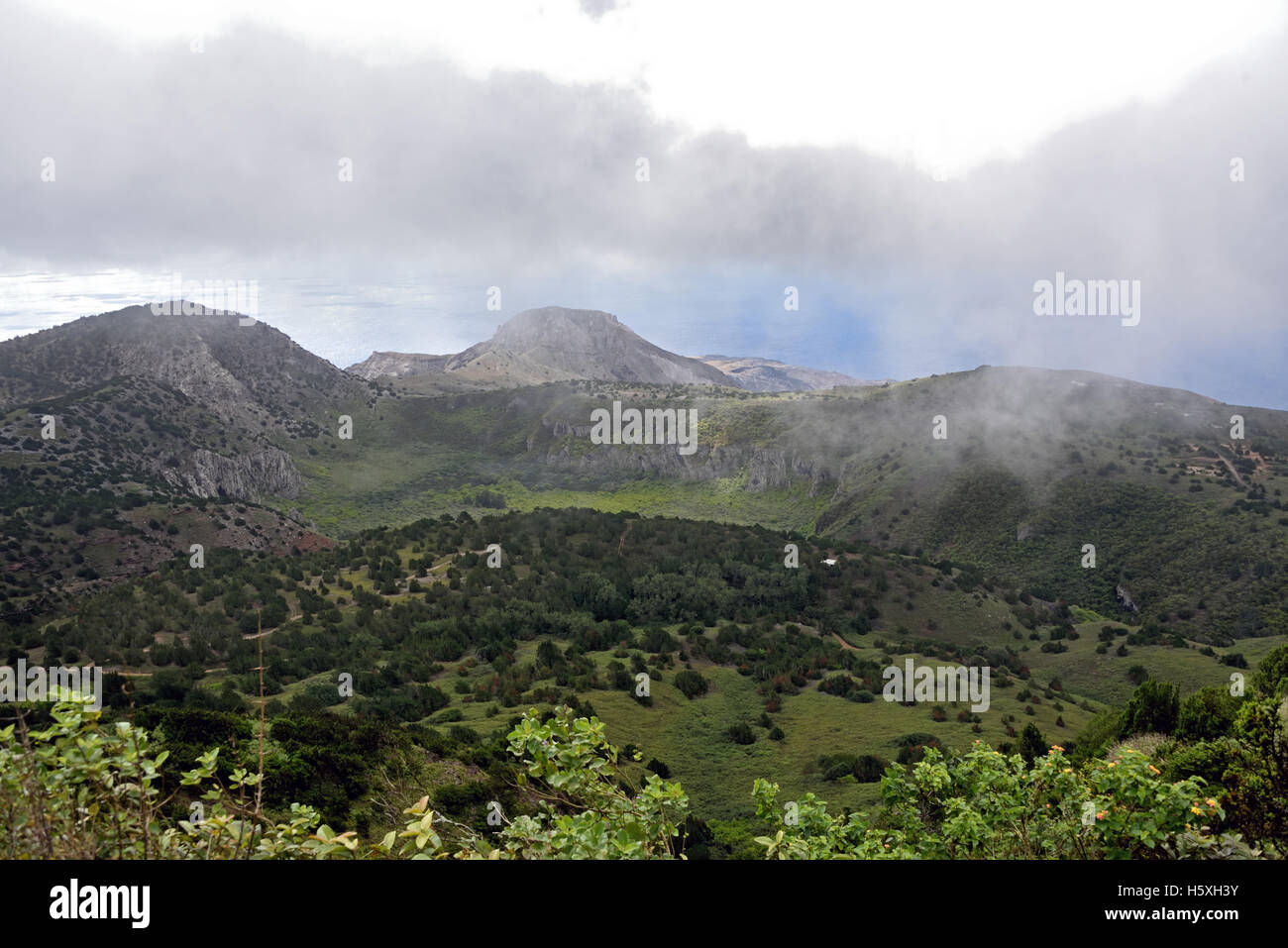 Lava cricket hi-res stock photography and images - Alamy