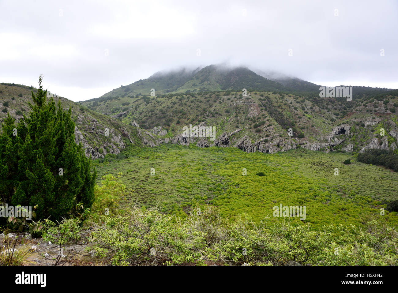 Cricket Valley taken from the Devil's Ashpit Road looking towards Green ...