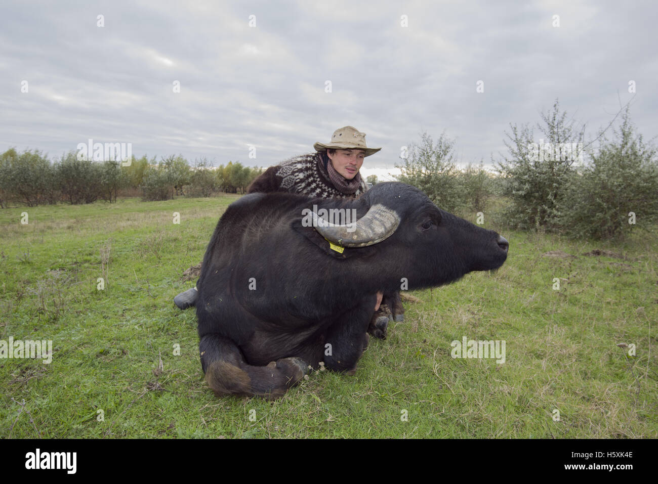 Indian farmer buffalo hi-res stock photography and images - Alamy