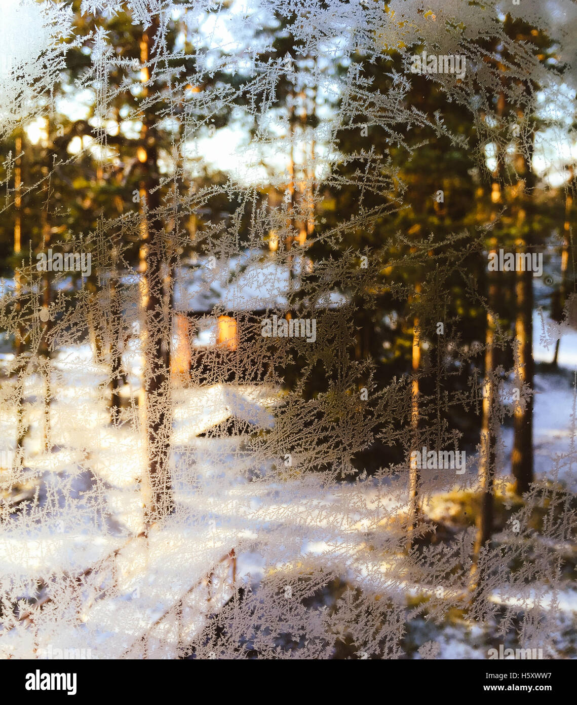 Winter snow scene through window hi-res stock photography and images ...