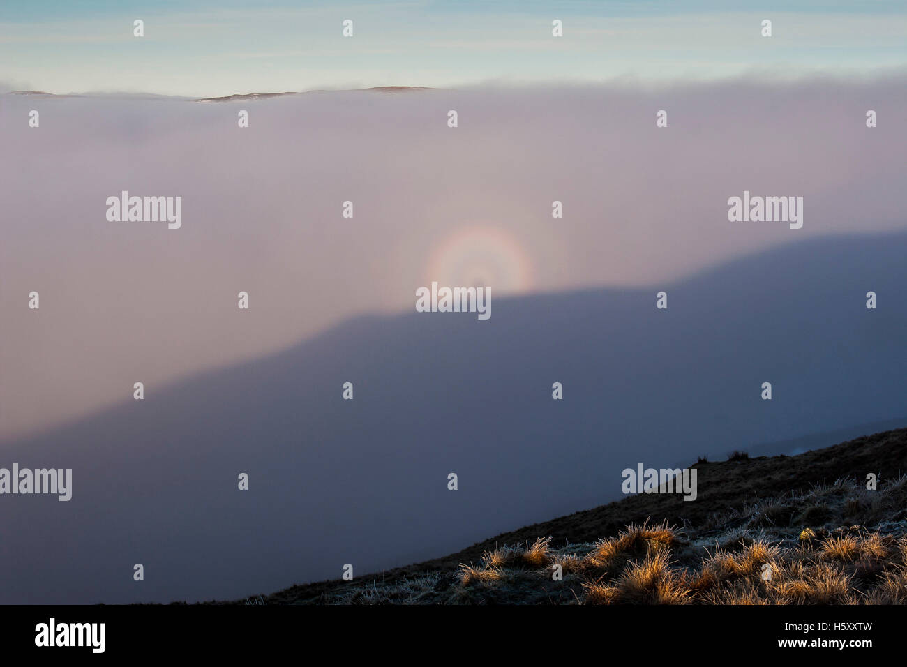 The rare mountain phenomenon of a Brocken Spectre, appears below Heron ...