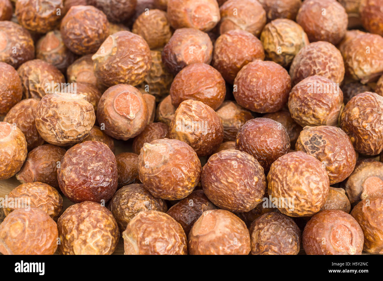 Pile of soapnuts - natural detergent Stock Photo - Alamy