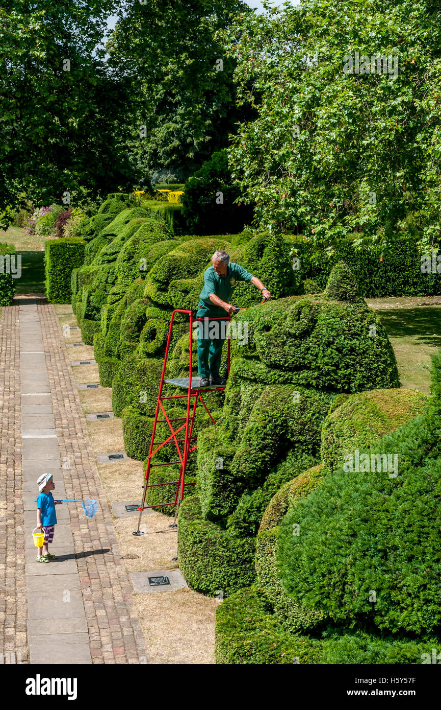 Head Gardener Chris Riley trims The Queen's Beasts, a topiary display ...