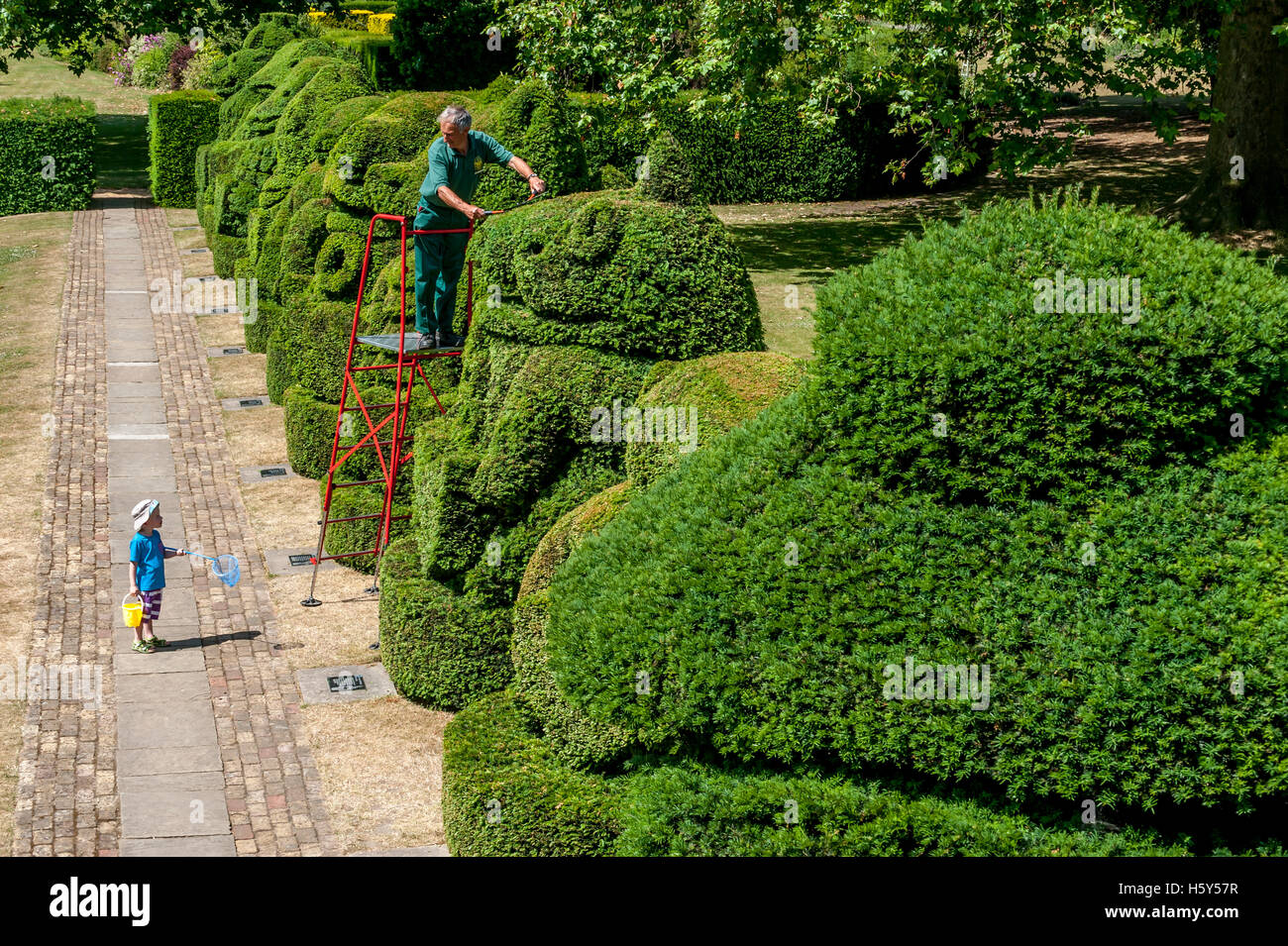 Head Gardener Chris Riley trims The Queen's Beasts, a topiary display ...