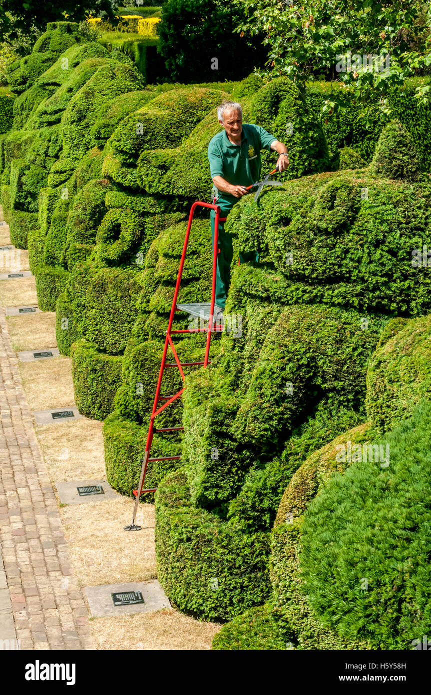 Head Gardener Chris Riley trims The Queen's Beasts, a topiary display ...