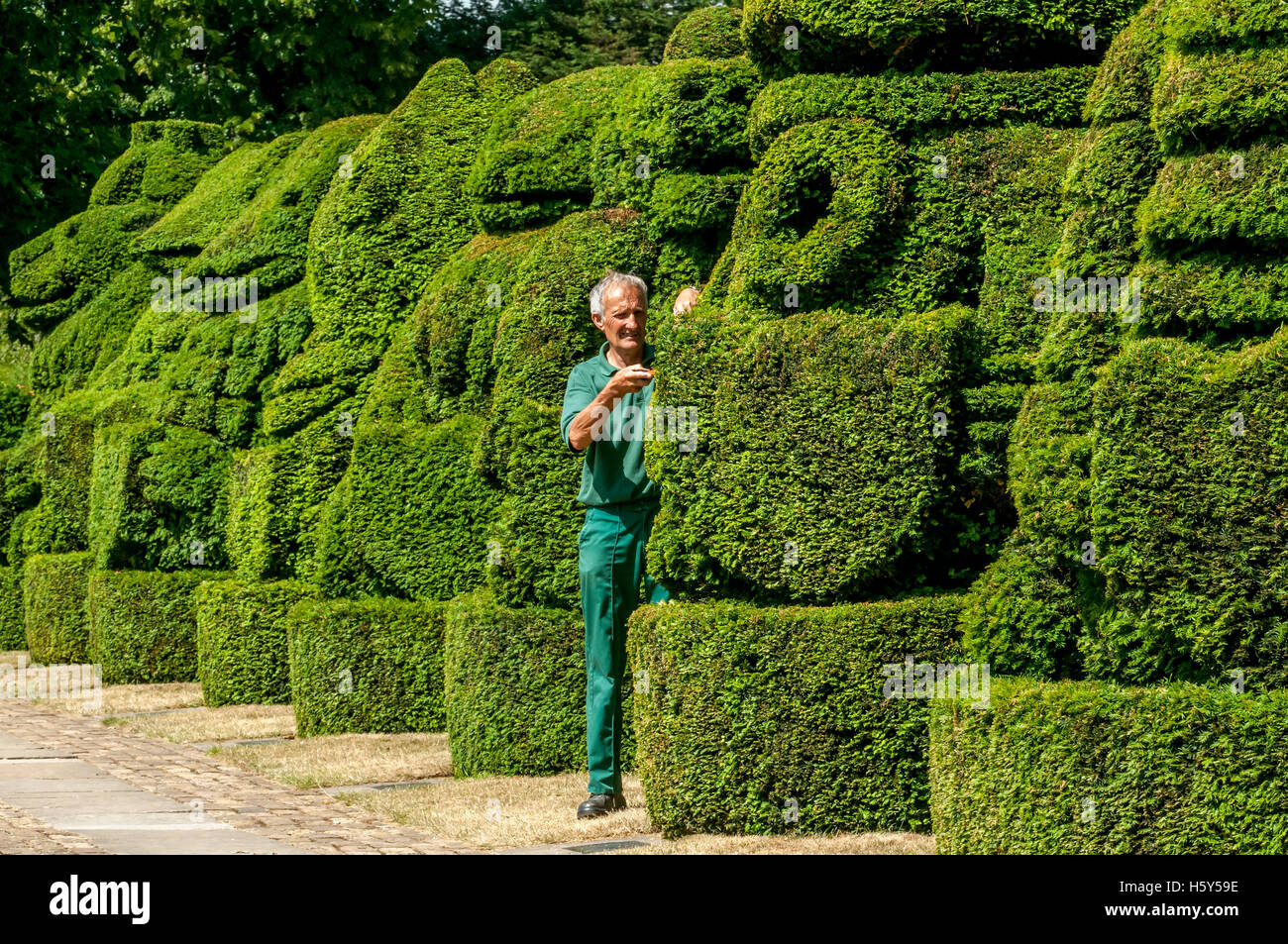 Head Gardener Chris Riley trims The Queen's Beasts, a topiary display ...