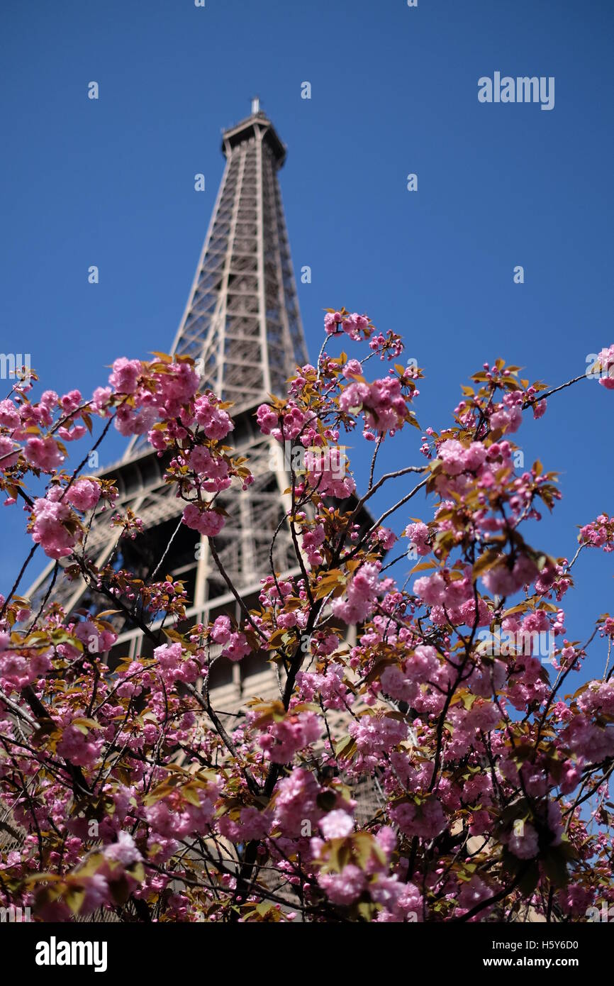 Eiffel tower with flowers hi-res stock photography and images - Alamy