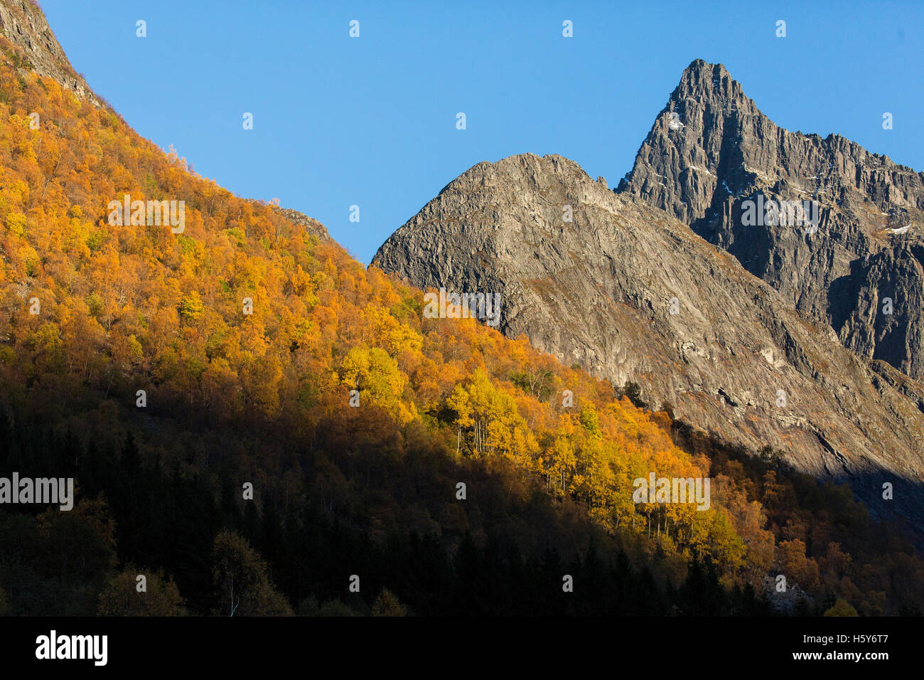 Strong colors in nature hi-res stock photography and images - Alamy