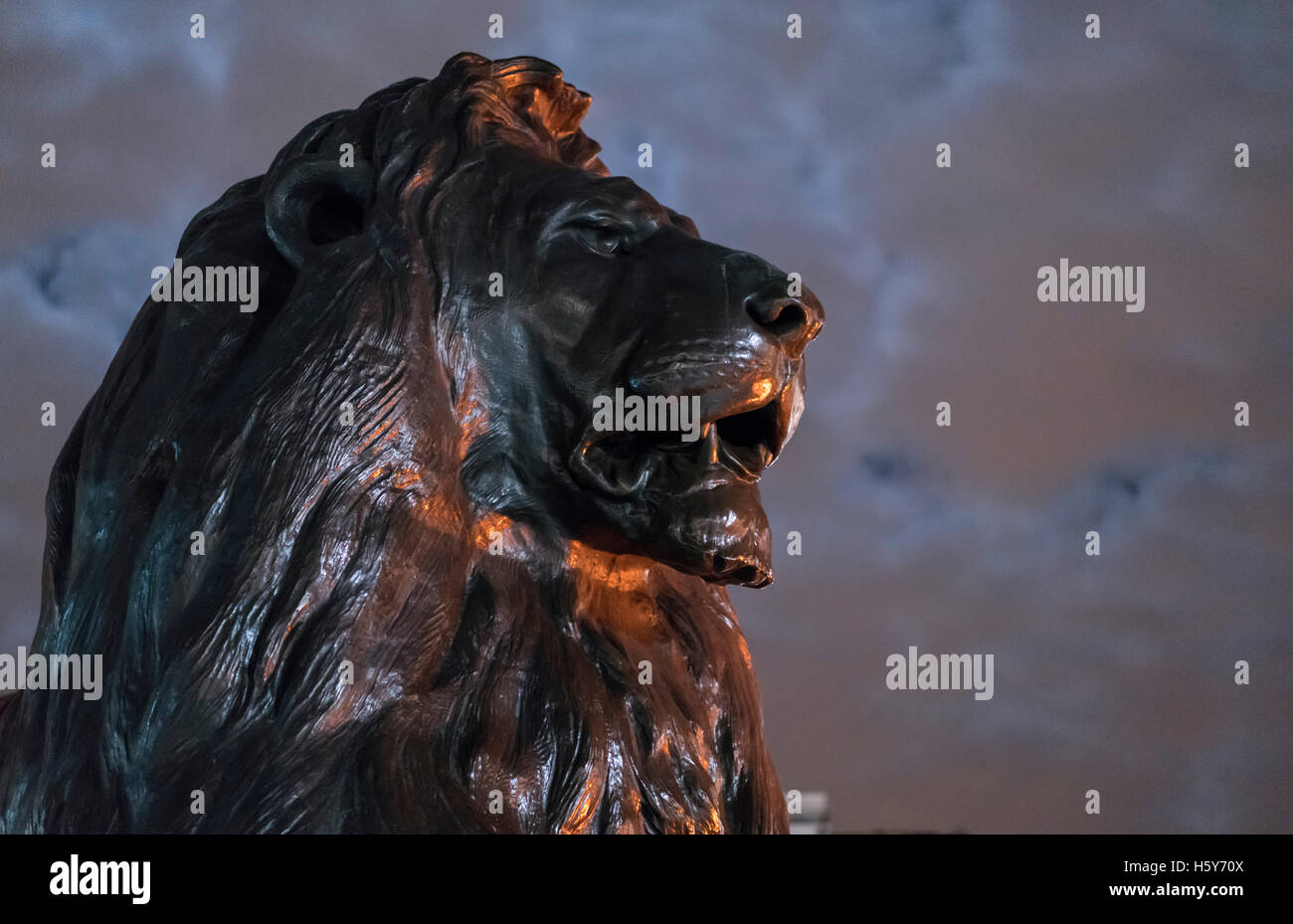 The famous Lions at Trafalgar Square London at night Stock Photo - Alamy