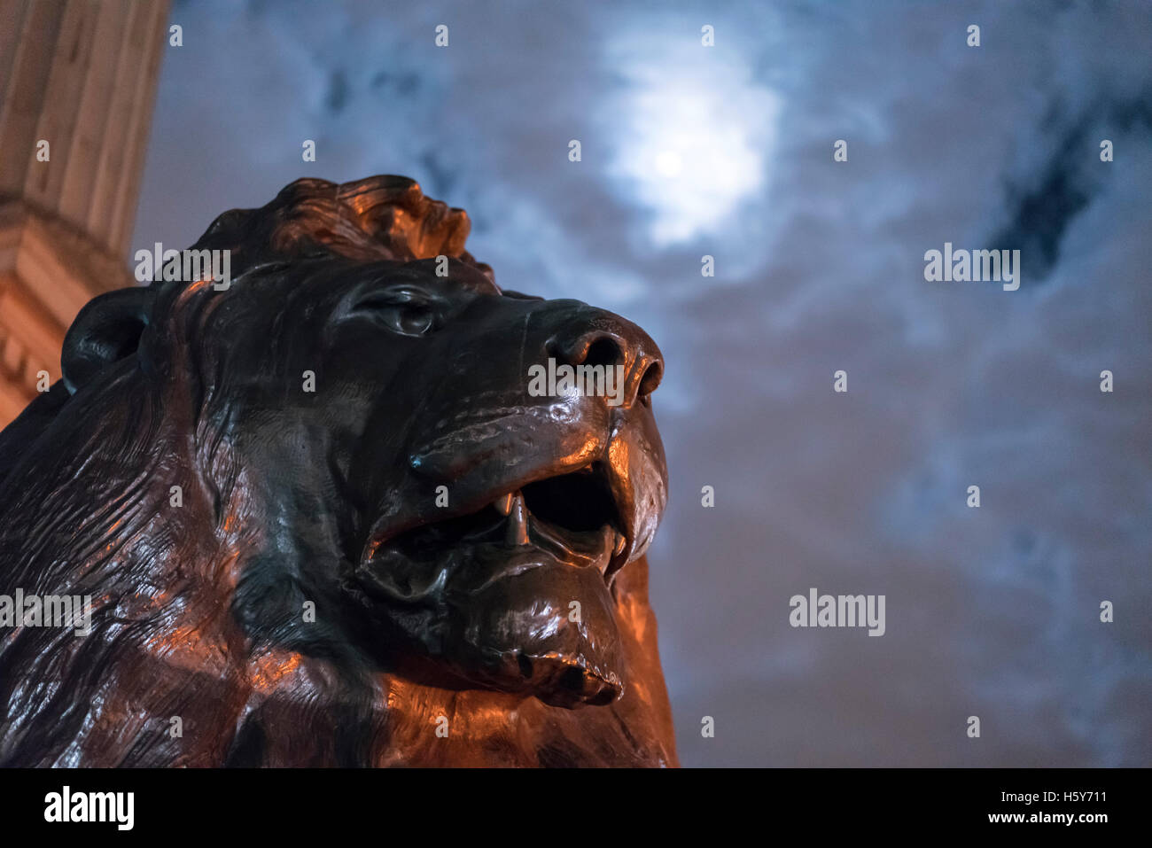 The famous Lions at Trafalgar Square London at night Stock Photo - Alamy